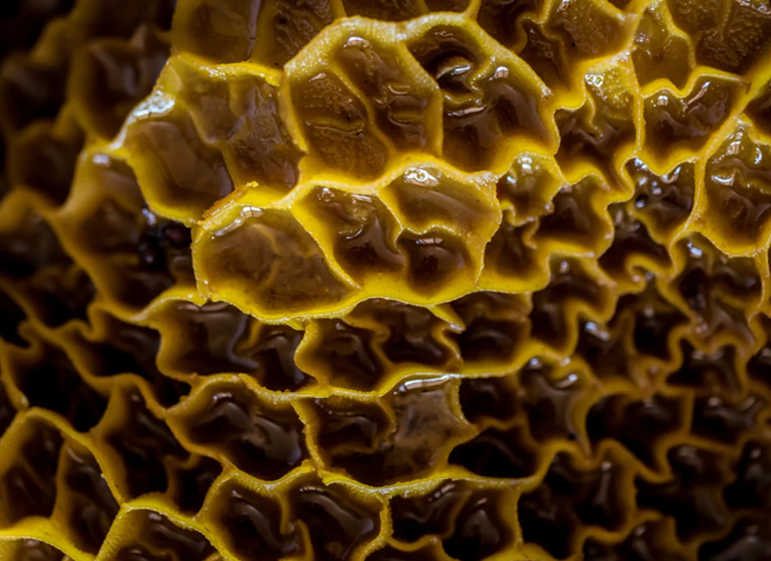 The tripe stuff for their wellbeing. - Bold by Nature