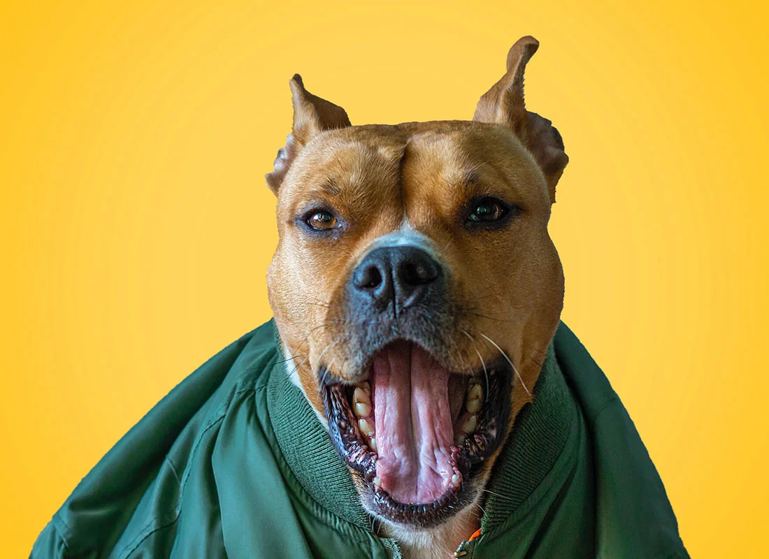 This is one bone to pick. - Bold by Nature