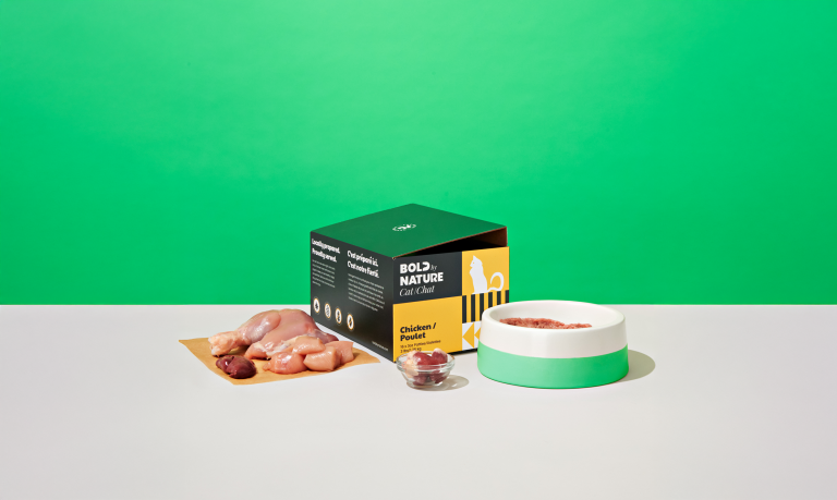 Your Guide to a Cat Raw Food Diet - Bold by Nature